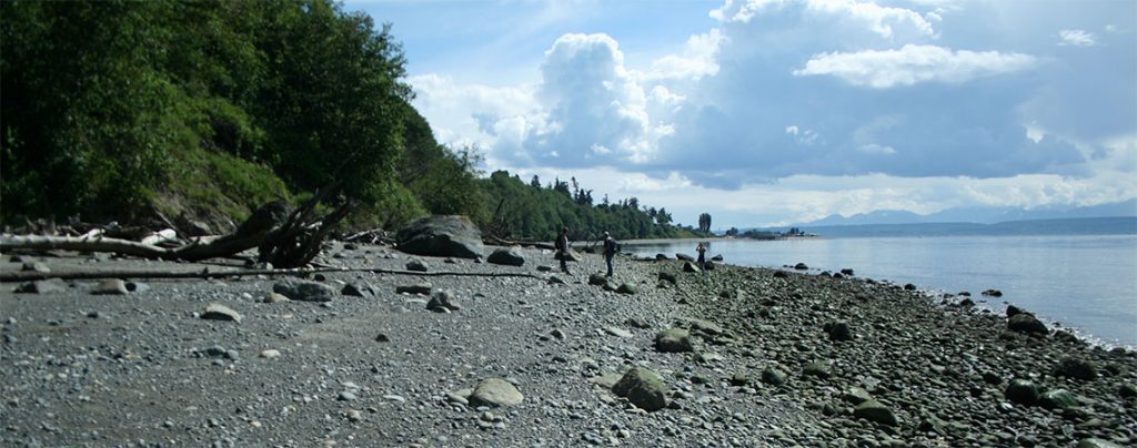 More Science – Washington Glacial Erratics